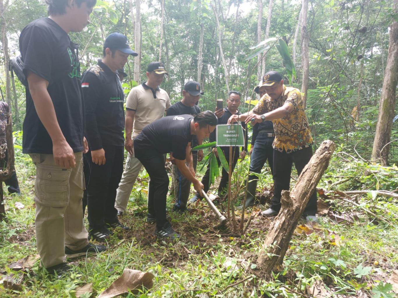 GERAKAN PENANAMAN BAMBU DI HUTAN TAPAN - Website Desa Karangan